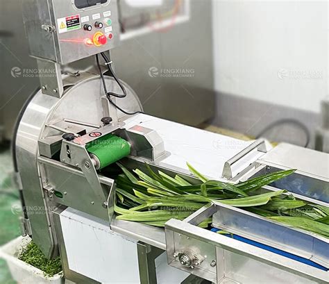 Pandan Leaves Bubble Washing And Cutting Machine For Food And Beverage