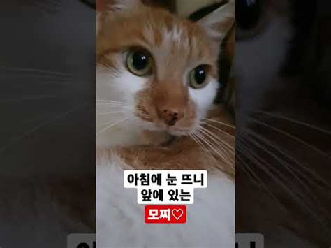 아침에 눈 뜨면 shorts YouTube