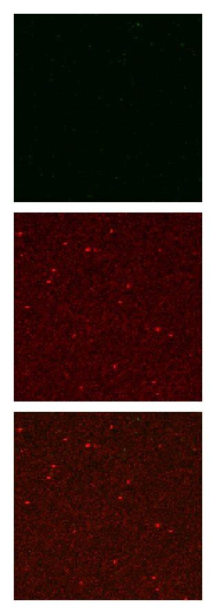 Bactericidal Effect Of Ethanol Extract Of A Princeps Cultured Mrsa Download Scientific