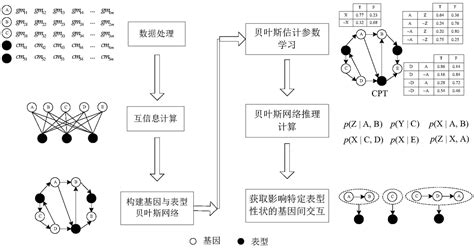 Intergenic Interaction Relation Excavation Method Based On Bayesian Network Reasoning Eureka