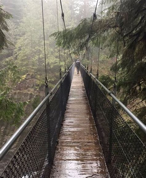 240 Foot Long Suspension Bridge At Drift Creek Falls Near Salem
