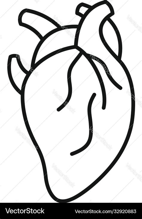 Human Heart Outline Vector