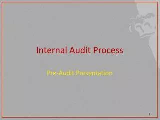 PPT The Process Of Internal Audit PowerPoint Presentation Free Download ID 12636213