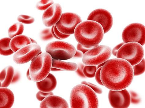 Anemia Has Multiple Causes And Treatments The Life Raft Group