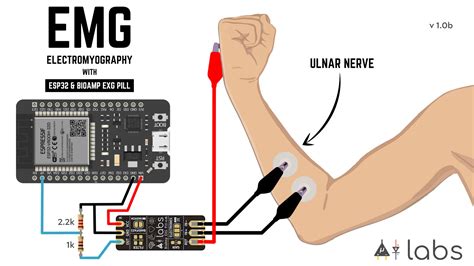 Upside Down Labs On Twitter Make An Electromyograph To Record Emg