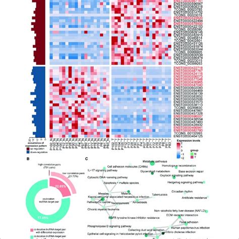 Characterization And Functional Analysis Differentially Expressed Download Scientific Diagram