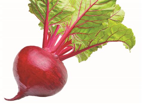 Things You Need To Know About Beet The Asian Age Online Bangladesh