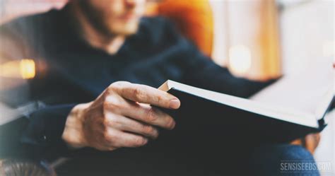 Los Mejores Libros Sobre El Cannabidiol Cbd Sensi Seeds