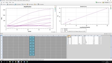 Trouble With Qpcr Standard Curve Amplification And Efficiency