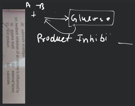 Feedback Inhibition Of Enzymes Is Affected By Filo