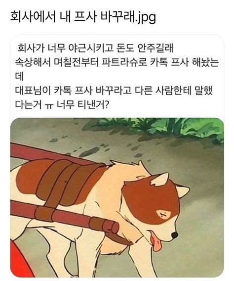 회사에서 카톡 프사 바꾸래 유머 움짤 이슈 에펨코리아
