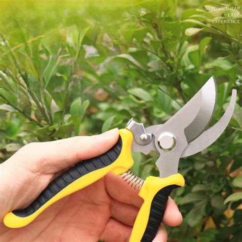 Hongheng Clearance Under 2 00 Scissors For Pruning Fruit Trees Pruning Rough Branches In
