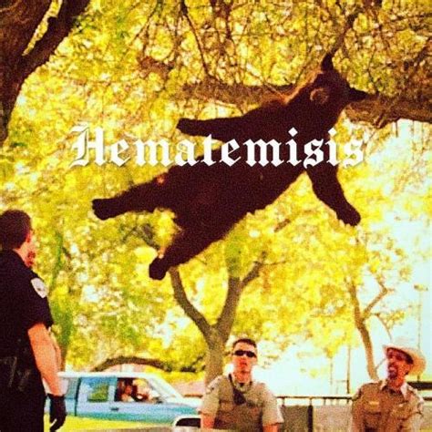 Hematemesis — Dont Bother The Chuck E Cheese Mascot On Their