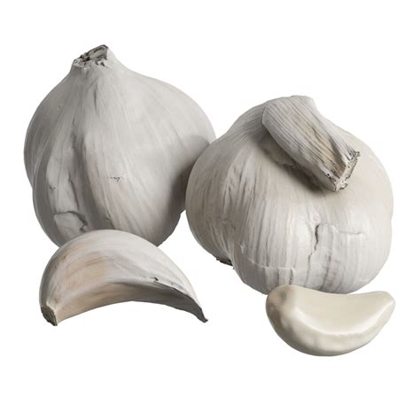 Sketchup Free Models Poliigon