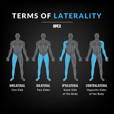 Opex Fitness Laterality Of Movement Is Used To Describe