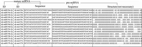 Example Of Training Dataset File Download Scientific Diagram