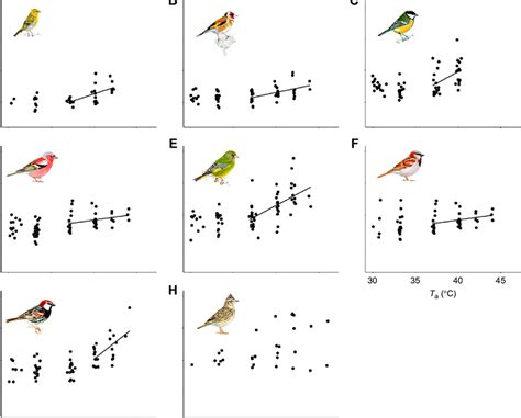 Resting Metabolic Rate Rmr As A Function Of Air Temperature T A In Download Scientific