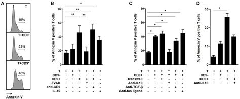 Frontiers Cd9 Regulatory B Cells Induce T Cell Apoptosis Via Il 10