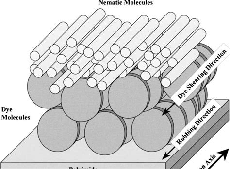 Alignment Of Nematic Molecules On A Dye Layer Disks Schematically Download Scientific Diagram