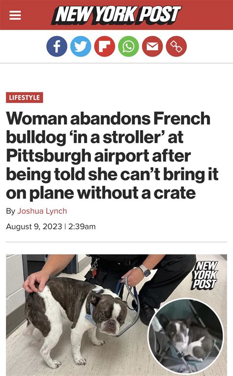 What Kinda Wacky World Are We Living In R Awfuleverything