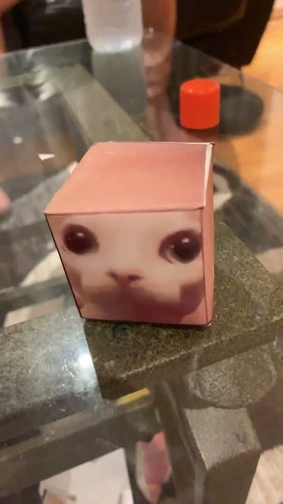 I Made Bingus Cube Cute Bingus Cube Legend Youtube
