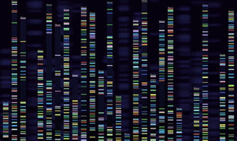 Health Ai Data Services — Ai And Digital Health Innovation