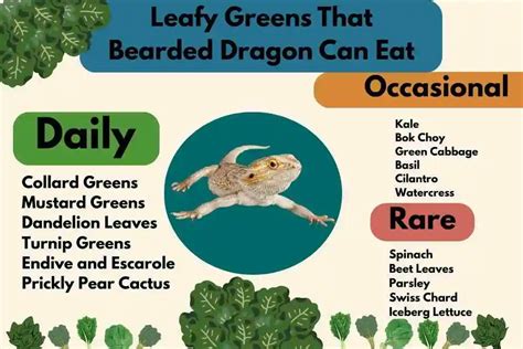 What Greens Can Bearded Dragons Eat Daily12 Science Backed Options