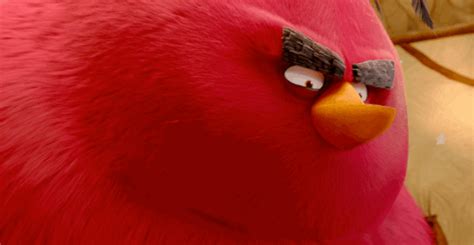 Angry Birds Angry Birds  Find On Er