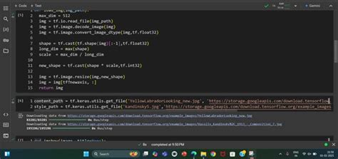 Raj Kumar On Linkedin Aiprojects Deeplearning Neuralstyletransfer Tensorflowhub