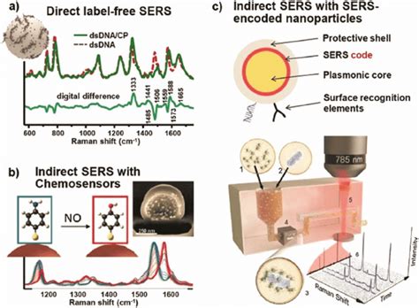 12 Schematic Illustration For Different Sers Based Sensing Schemes A