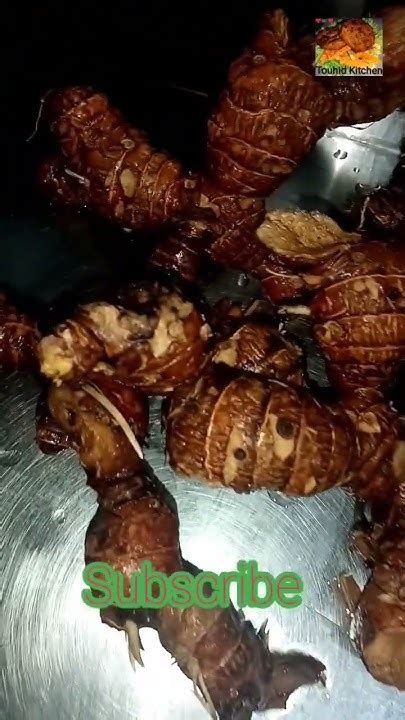 এগুলো কি😱😱😱 বাশ নাকি অন্য কিছু থাই আদা Youtube