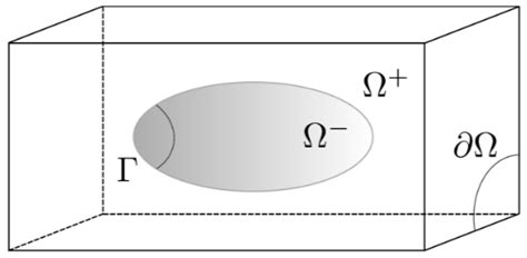 논문 리뷰 An Enriched Immersed Finite Element Method For 3d Interface Problems