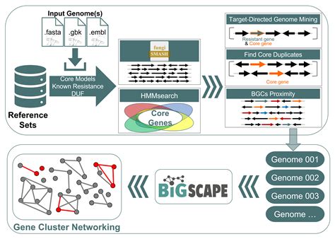 fungal bioactive compound resistant target seeker