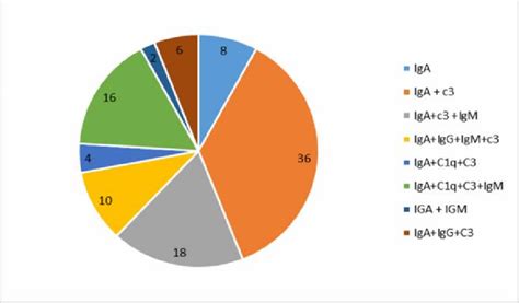 Pattern Of Immunofluorescence Findings Download Scientific Diagram