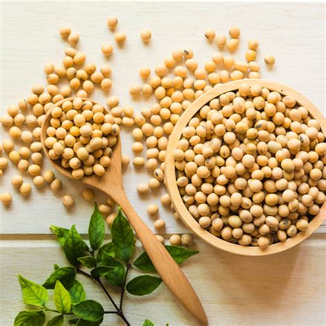 Nutrifresh Original E Excel