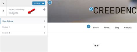 how to use the customize option in wordpress wpklik
