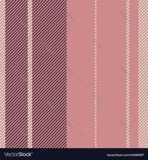 Stripes Pattern Background Colorful Stripe Vector Image