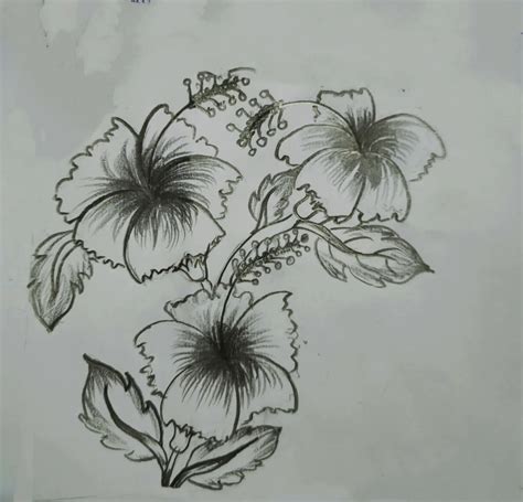 Sampriti Drawing S Drawing26 • Instagram Photos And Videos