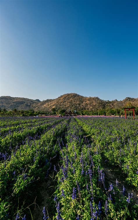 Nangisexypicture Photos Download The Best Free Nangisexypicture