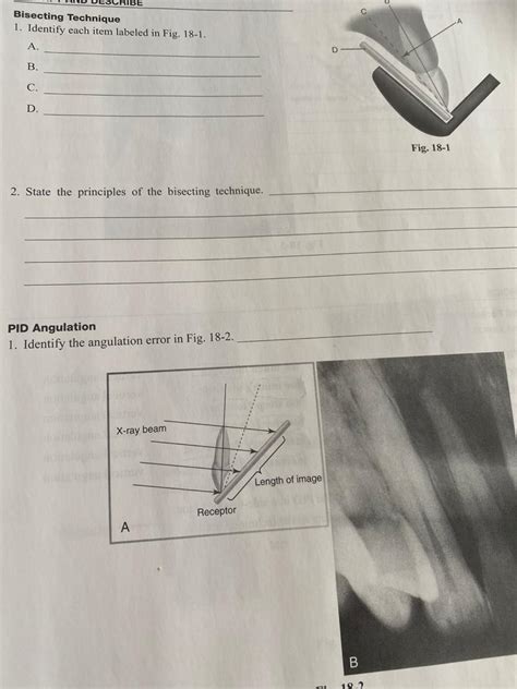 Solved Bisecting Technique Identify Each Item Labeled In Chegg Com