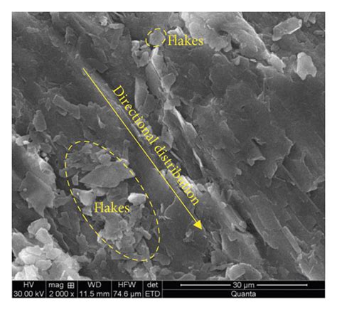 Microstructure Of Shale Under Various Water Immersion Times A 0