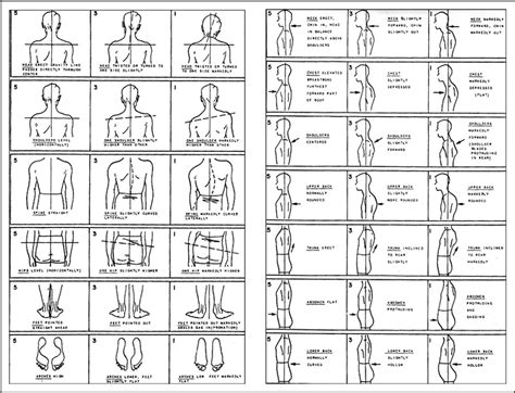 Postural Assessment Chart