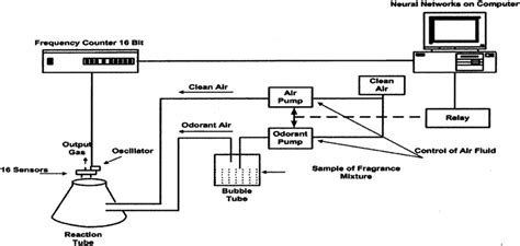 Schematic Diagram Of The Measurement System Download Scientific Diagram