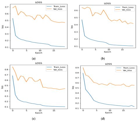 Bioengineering Free Full Text U Net Model With Transfer Learning