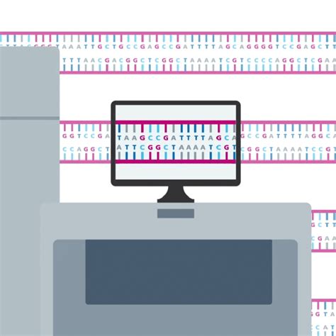 Whole Genome Sequencing From Sample To Report Genomics Education Programme