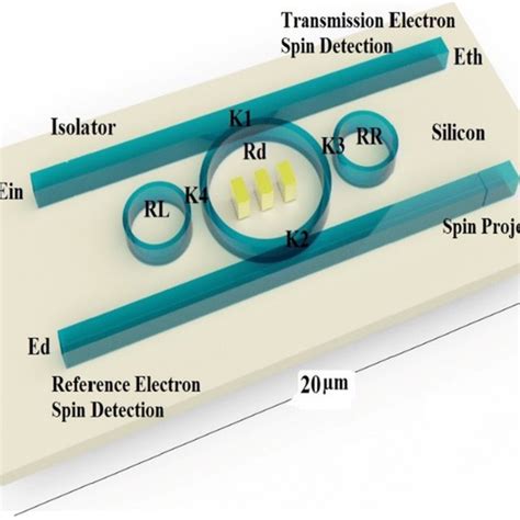 Schematic Of The Proposed Silicon Microring Circuit Where Ein Input Download Scientific