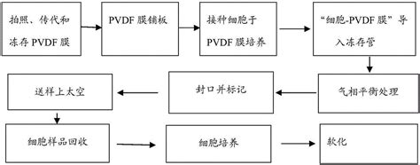 细胞培养流程 技术 第10页 大山谷图库