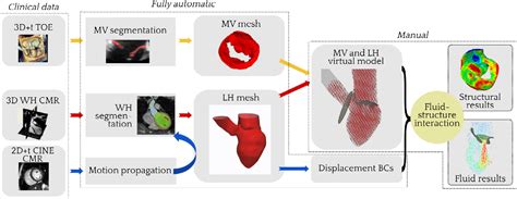 Table 1 From A Workflow For Patient Specific Fluid Structure Interaction Analysis Of The Mitral