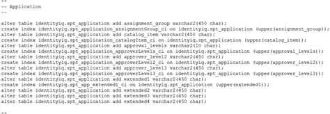 SAILPOINT IDENTITY IQ CONFIGURING EXTENDED APPLICATION ATTRIBUTES IN SAILPOINT IIQ