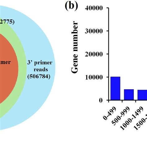 Overview Of Pacbio Sequencing In Microplitis Pallidipes A Numbers Of Download Scientific